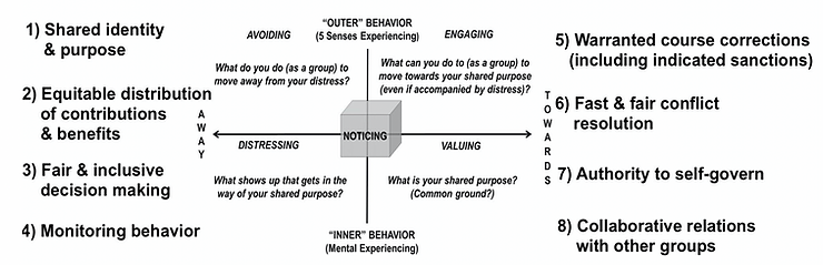 Incorporating the CDPs into the Matrix: Theoretical Implications ...