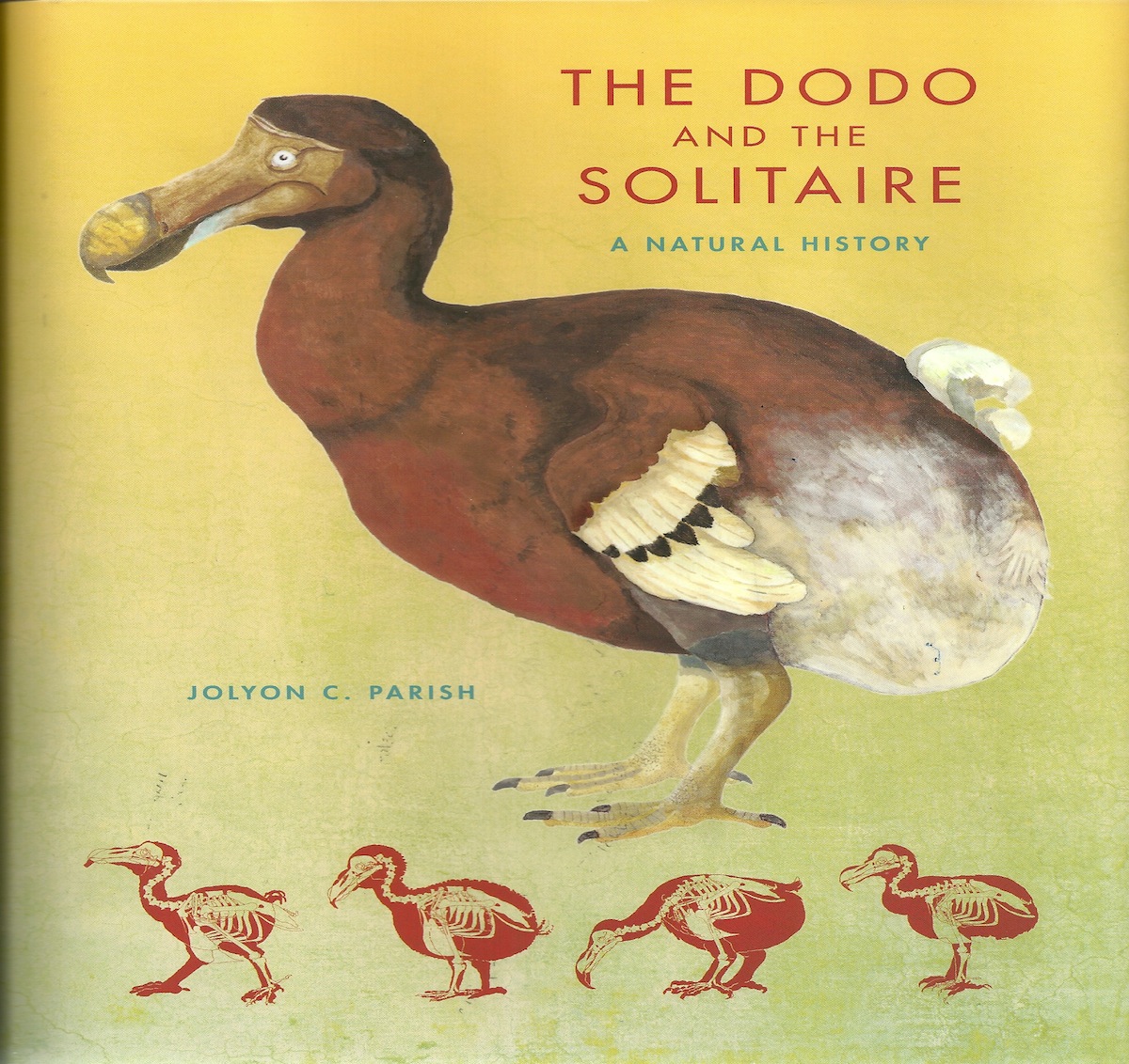 Tackling the Mystery Behind The Dodo and the Solitaire