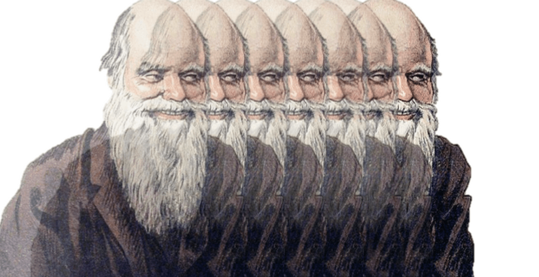 The Darwinian Causes of Mental Illness