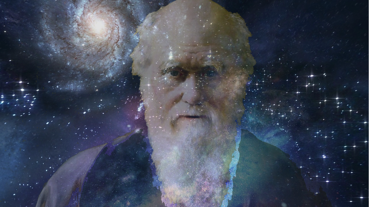 Why Physics Needs Darwin: An Interview with John Campbell