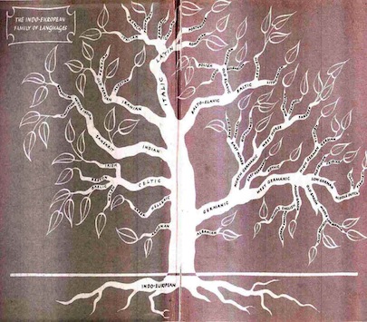 Family Tree of Languages Has Roots in Anatolia, Biologists Say