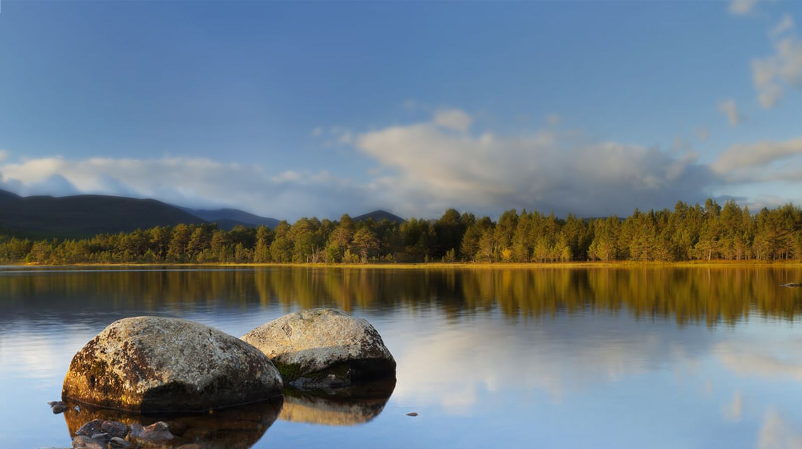 Compassionate Mind Foundation