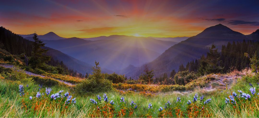 Compassionate Mind Foundation