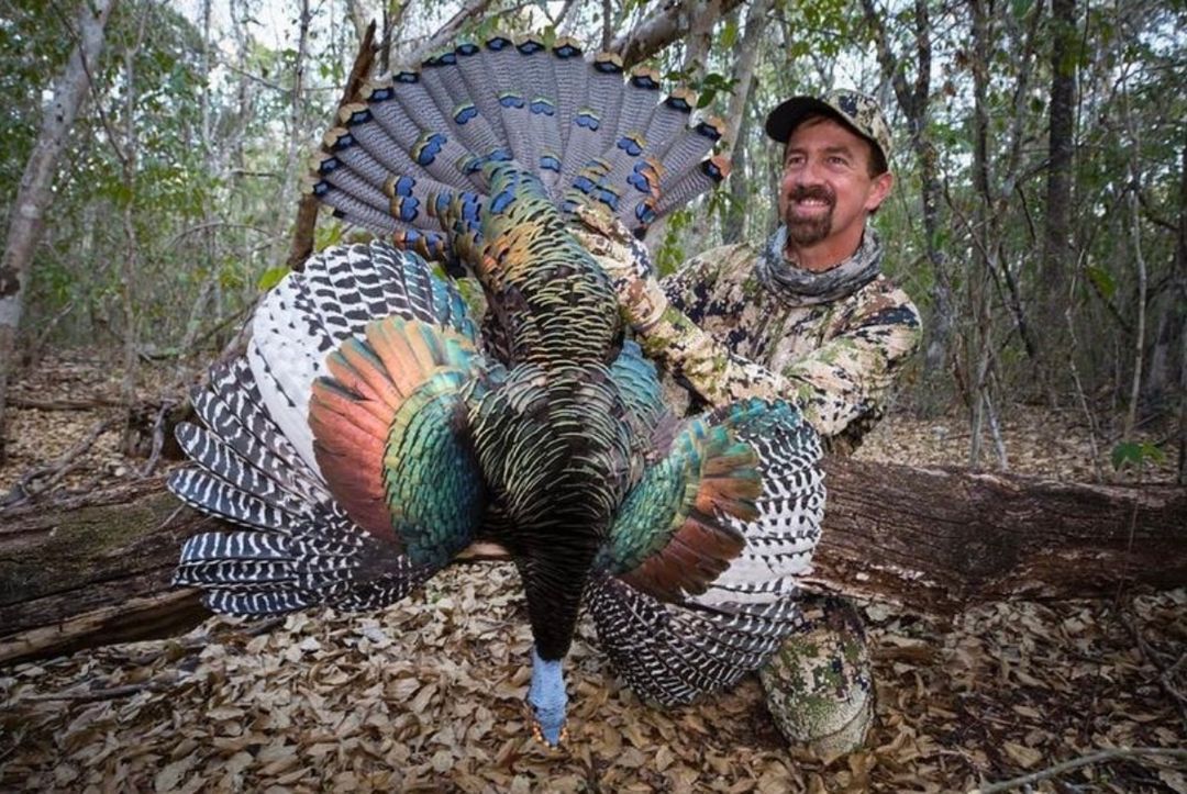 International | Exotics Hunting - Shoshone Adventures