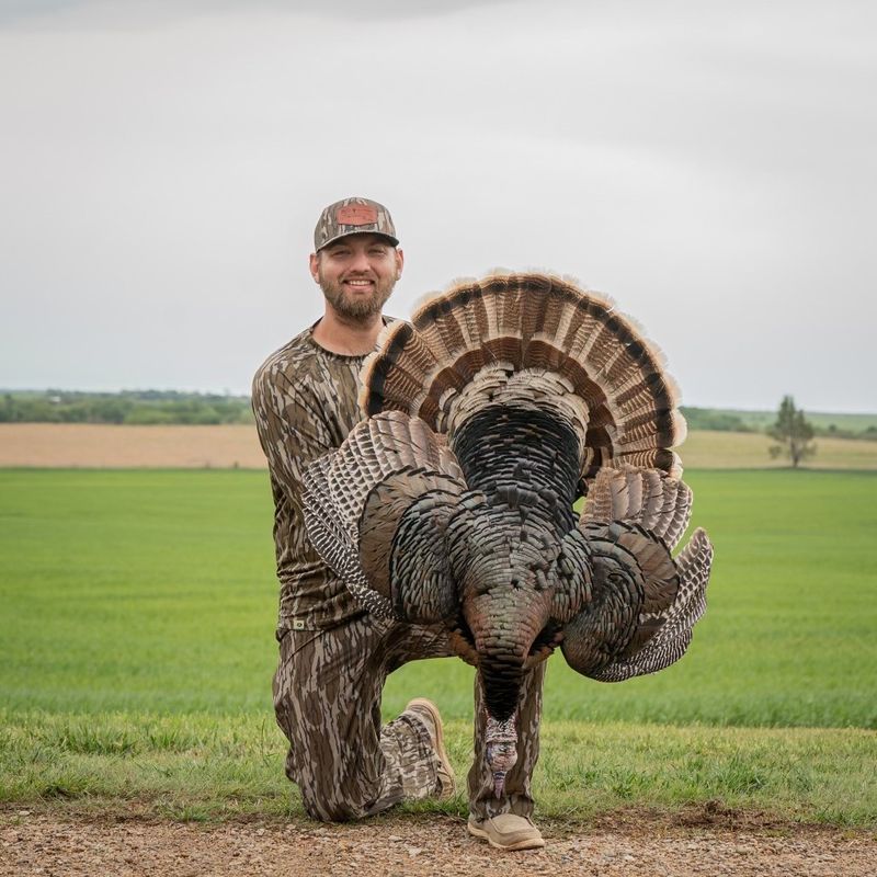 Turkey Hunting - Shoshone Adventures