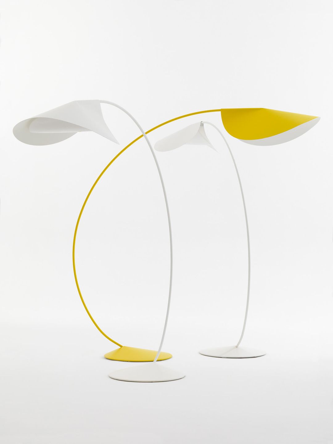 Circle lamp