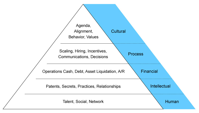Kauffman Fellows on the Science of Capital Formation | Journal ...