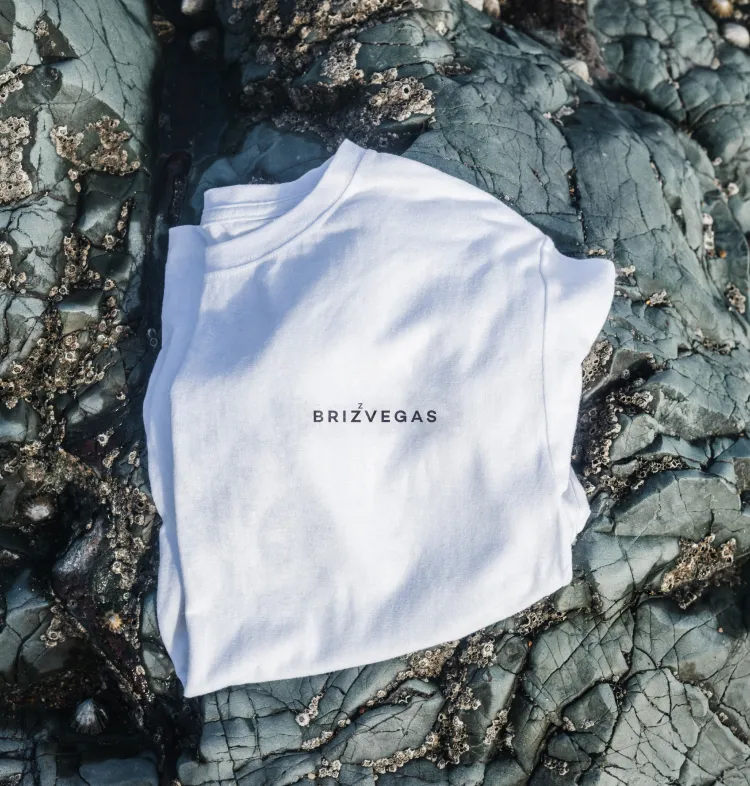 Brizvegas Case Study | Anchor Digital