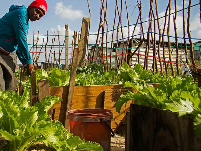 Explore Case Studies