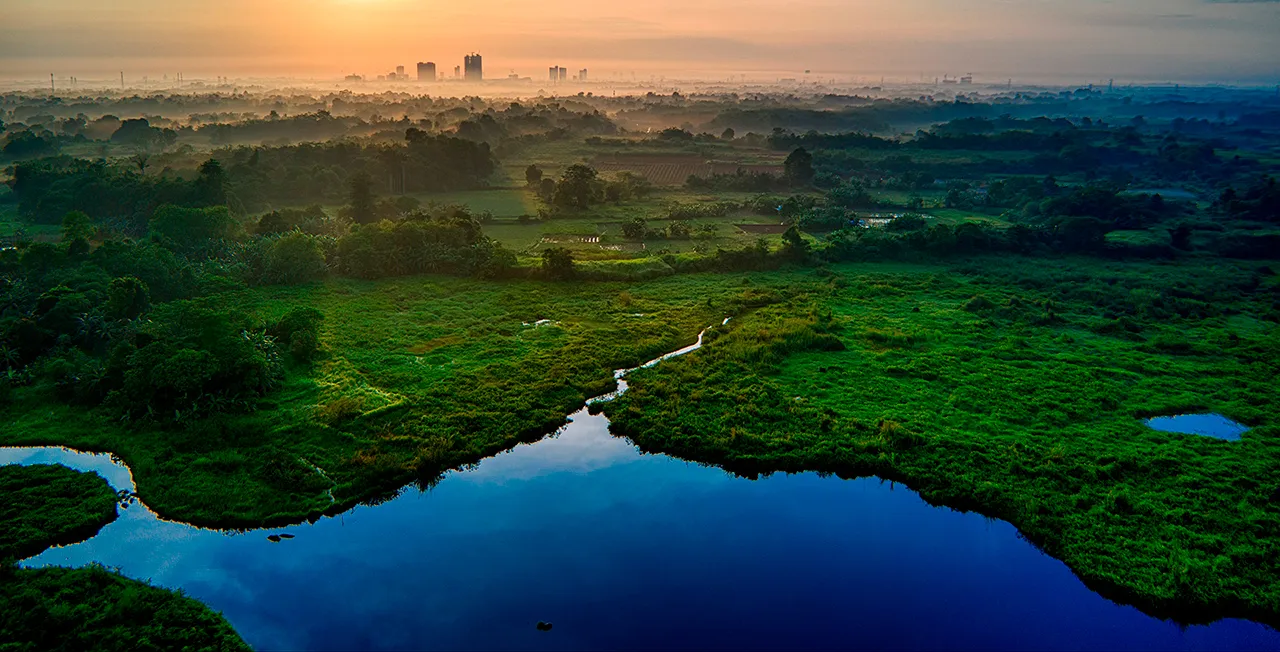 Liquid Trees: Pollutant & Carbon Removal by Diatoms