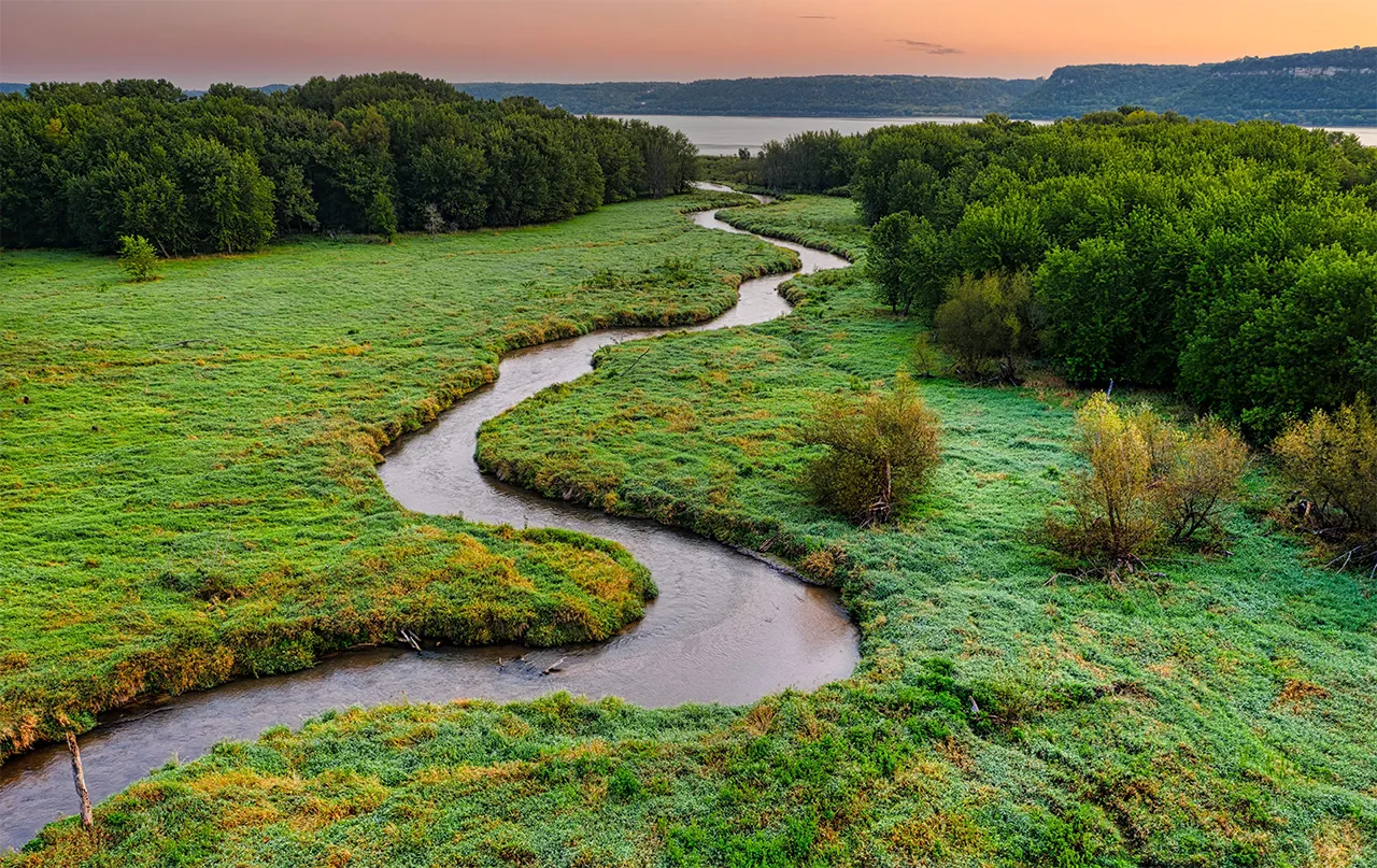 Liquid Trees: Pollutant & Carbon Removal by Diatoms
