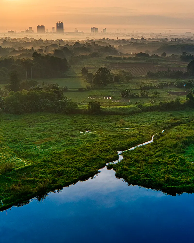 Liquid Trees: Pollutant & Carbon Removal by Diatoms