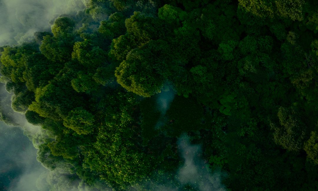 GreenCarbon - A Breakthrough Decarbonization Company