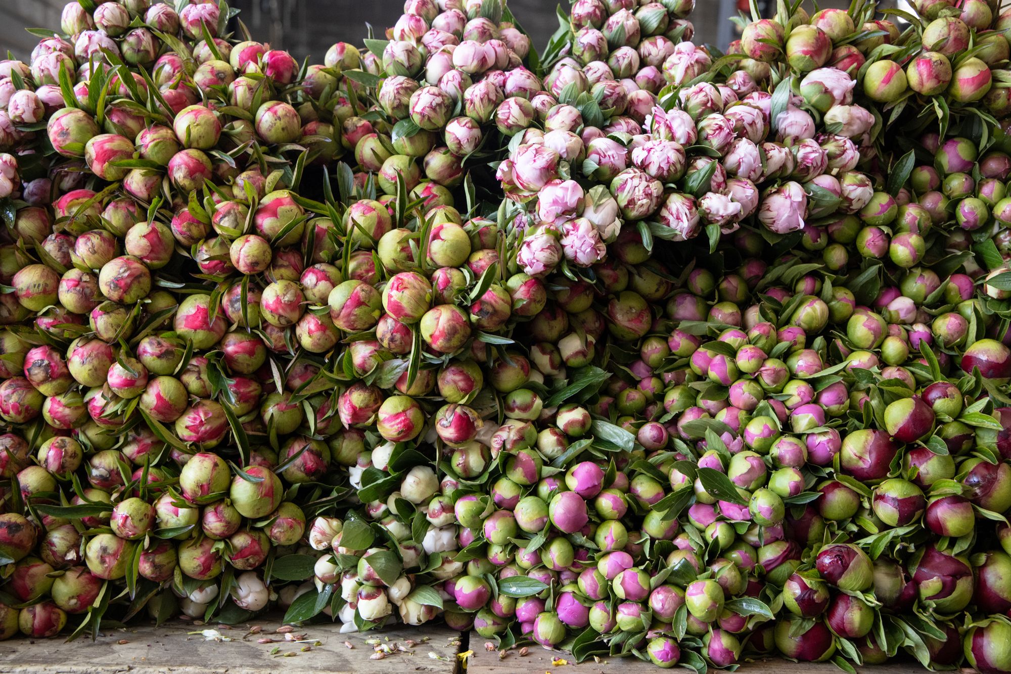 Discover essential care and handling instructions for dry-packed ...