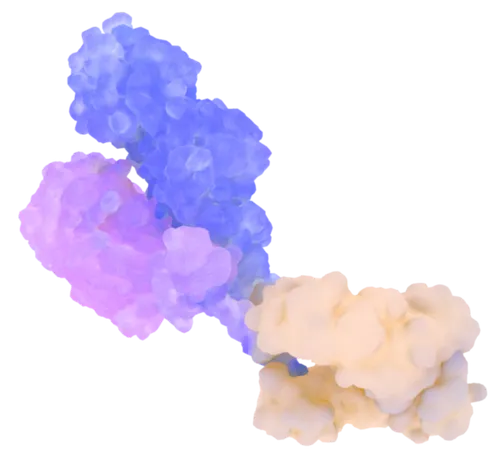 Inozyme Pharma | Therapies for Patients with Rare Diseases