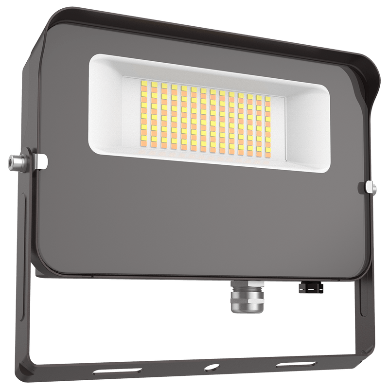 GE GE Evolve LED EFH1 Flood Light | Commercial Lighting