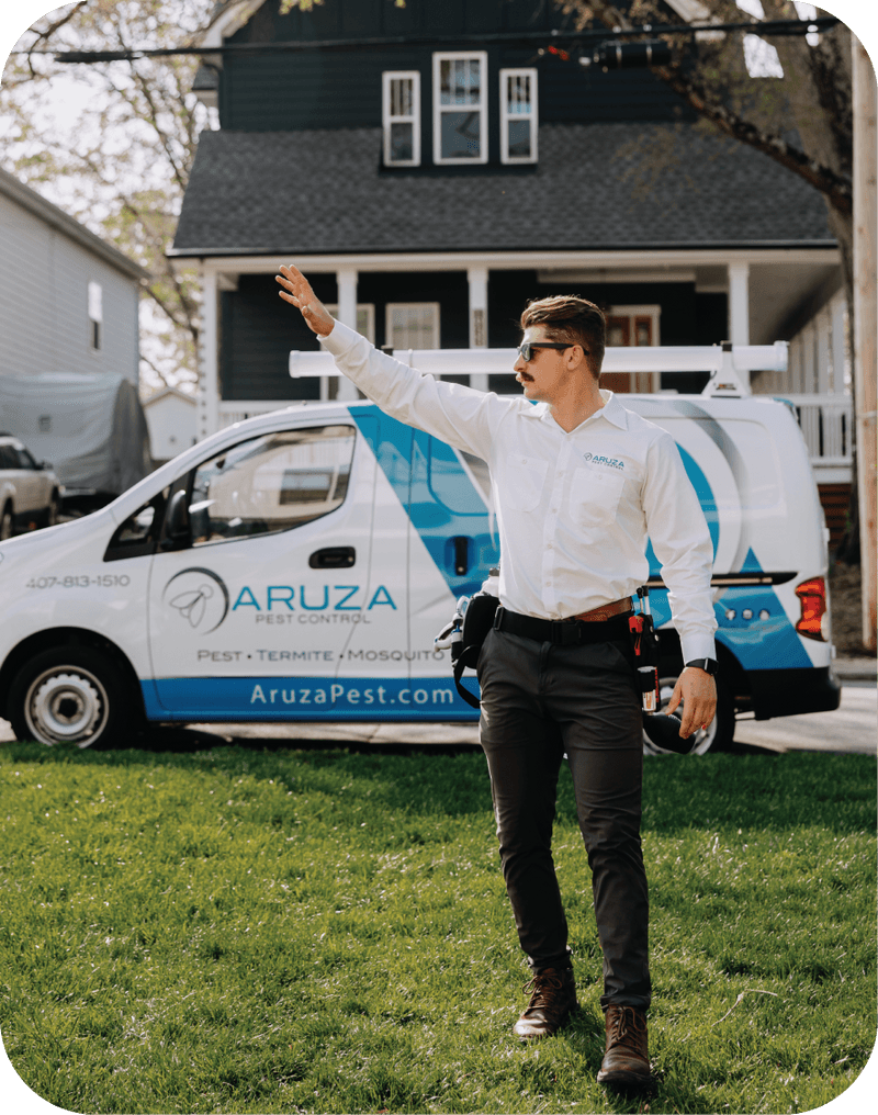 Pest Control for the Southeast | Aruza Pest Control