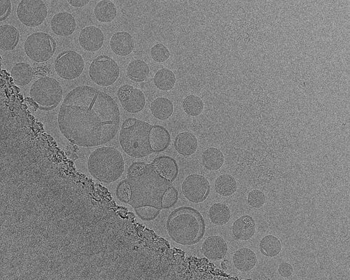 Lipid Nanoparticle characterization with cryo-TEM | Nano Imaging