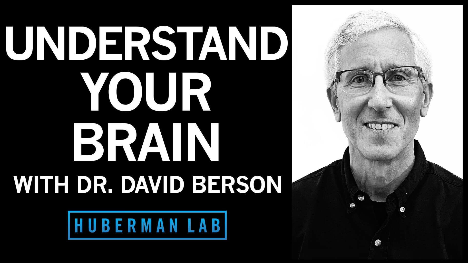 Dr. David Berson: Your Brain's Logic & Function - Huberman Lab