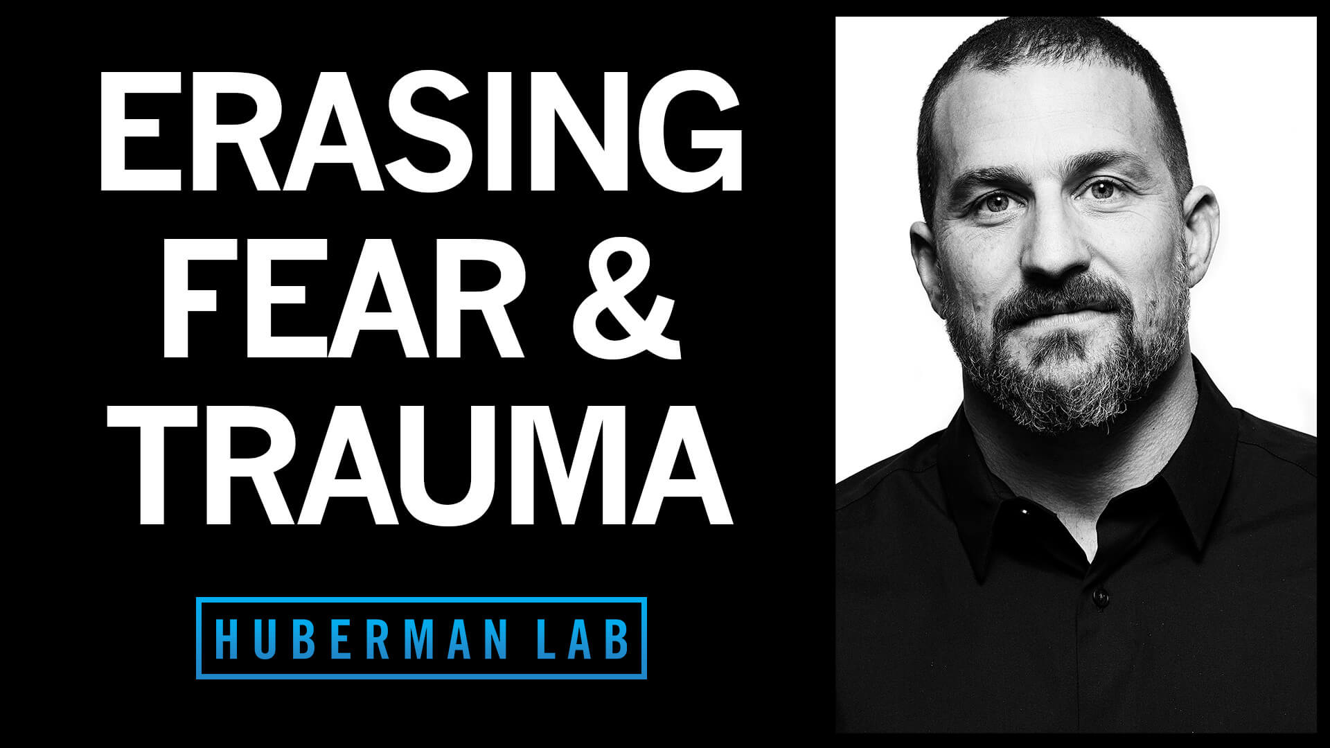 Erasing Fears & Traumas Based on the Modern Neuroscience of Fear ...