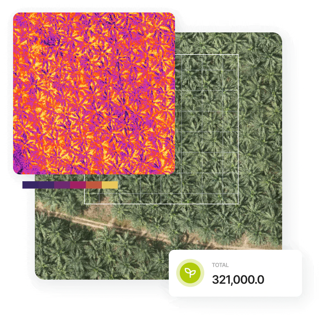Drones in Agriculture with FarmCount | RocketDNA