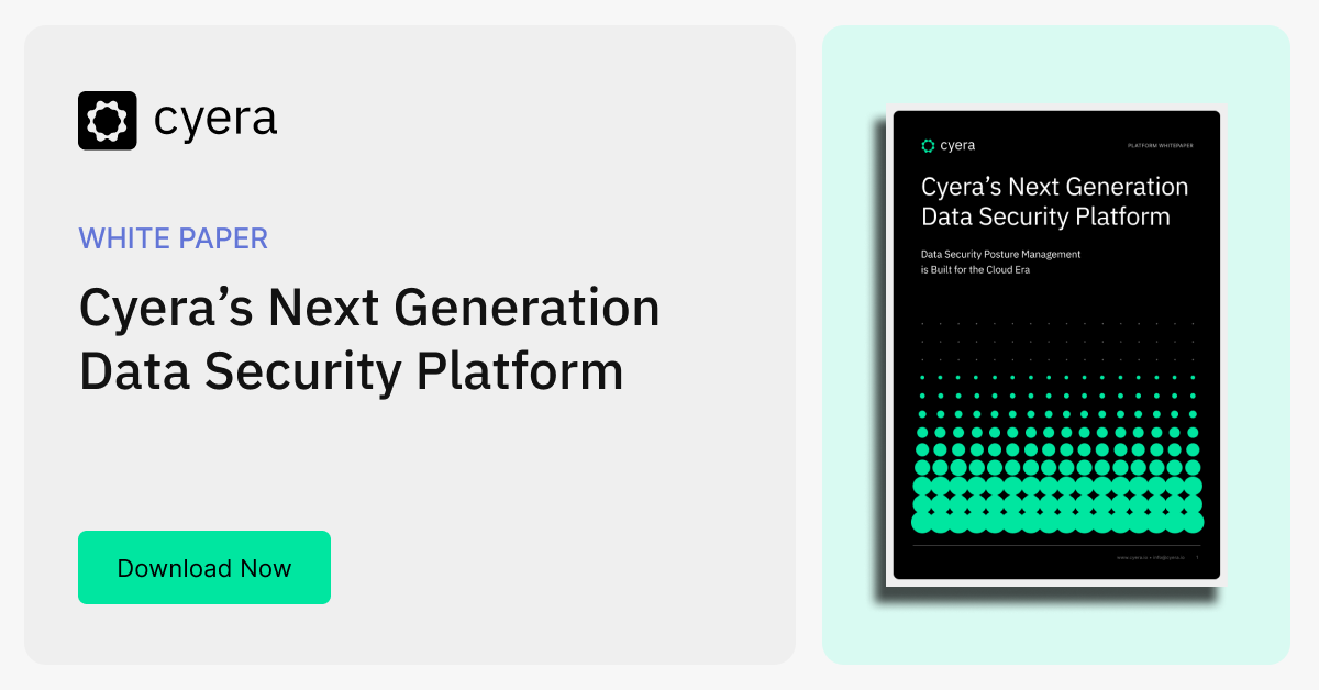Cyera Cyeras Next Generation Data Security Platform