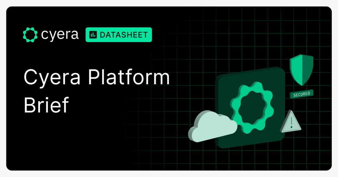 Cyera | Cyera Platform Brief