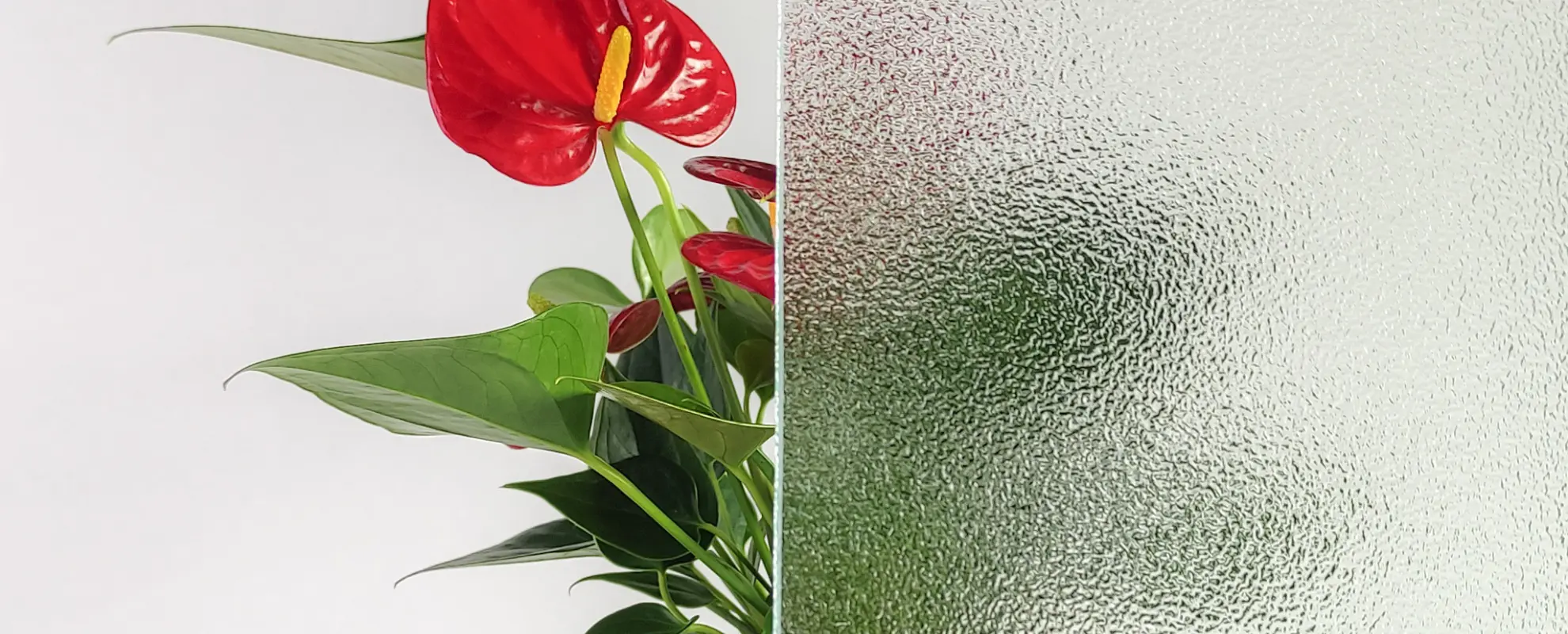 Increase Privacy with Atlas Glass' Obscure Glass Supply | Atlas Glass