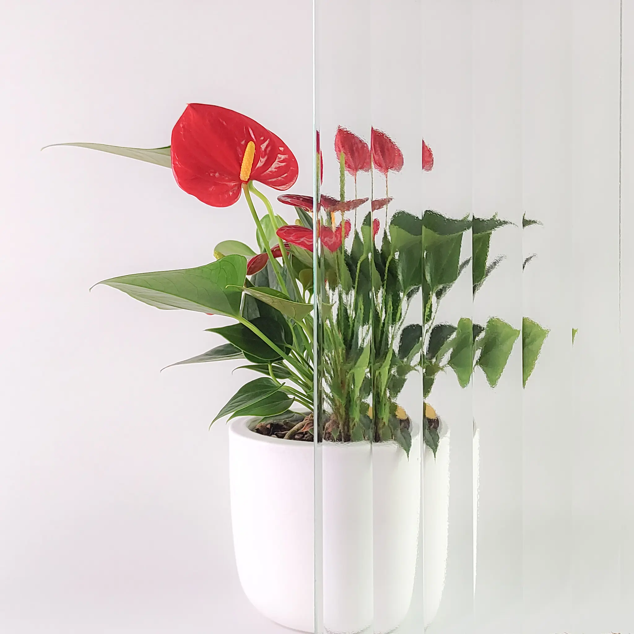 Increase Privacy with Atlas Glass' Obscure Glass Supply | Atlas Glass