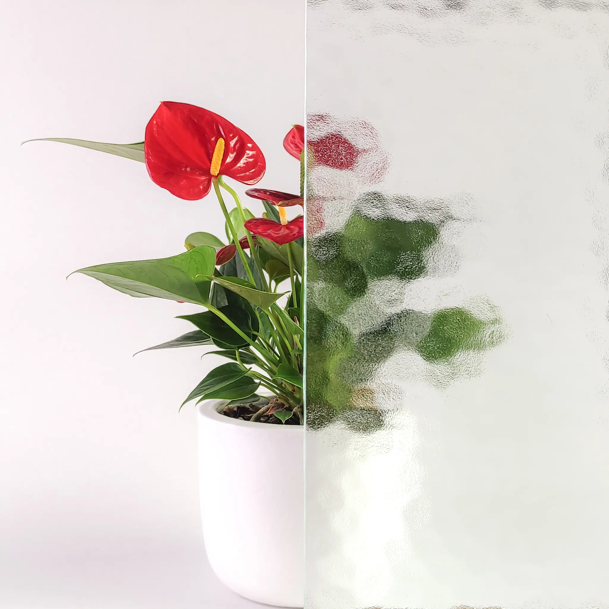 Increase Privacy with Atlas Glass' Obscure Glass Supply | Atlas Glass