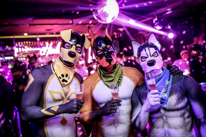 "PETSUIT" ออกแบบความสนุกตอบสนองความสุขสำหรับคนรักสัตว์