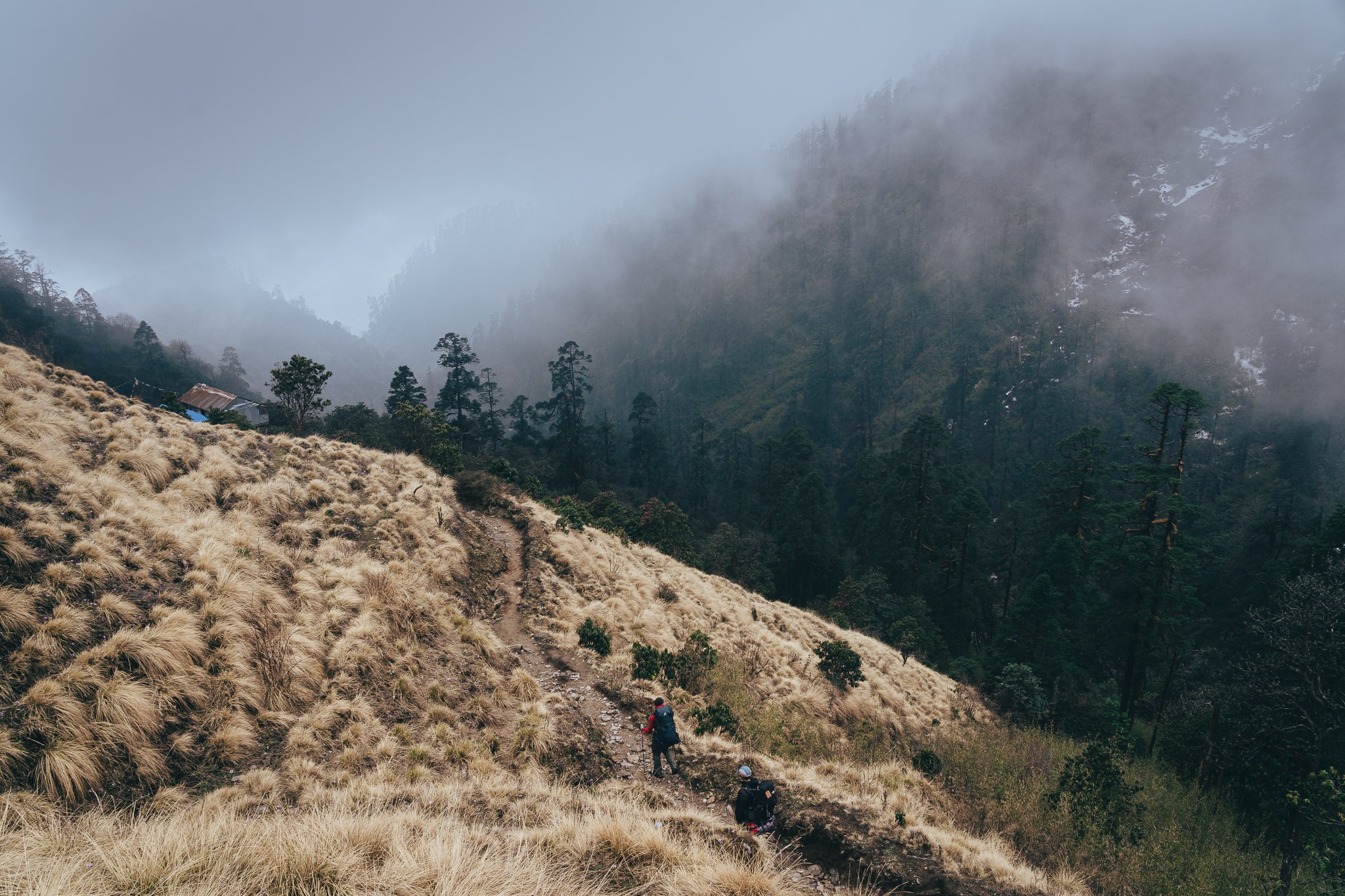 ชวนคุยเรื่อง (ภู) เขา และ Trekking กับ เขาคนนี้ ‘ฟ้า ปัณณวิช’