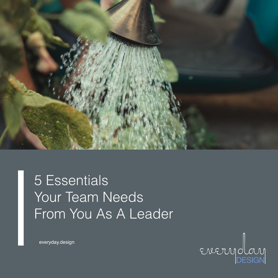 5 essentials your team needs from you as a leader - Everyday Design