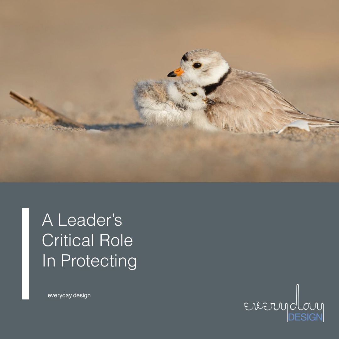 A servant leader's critical role in protecting - Everyday Design