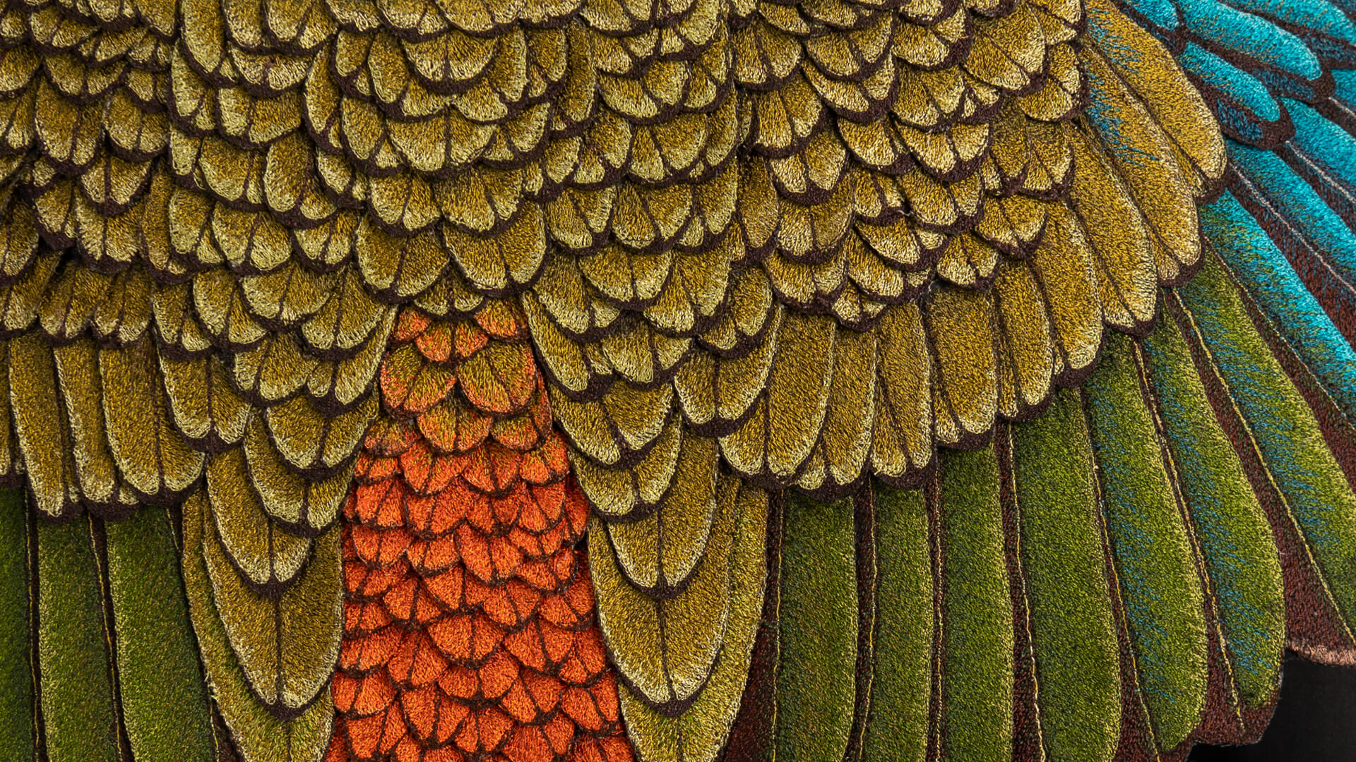 Child·Hood, Craig McMillan, New Zealand | WOW