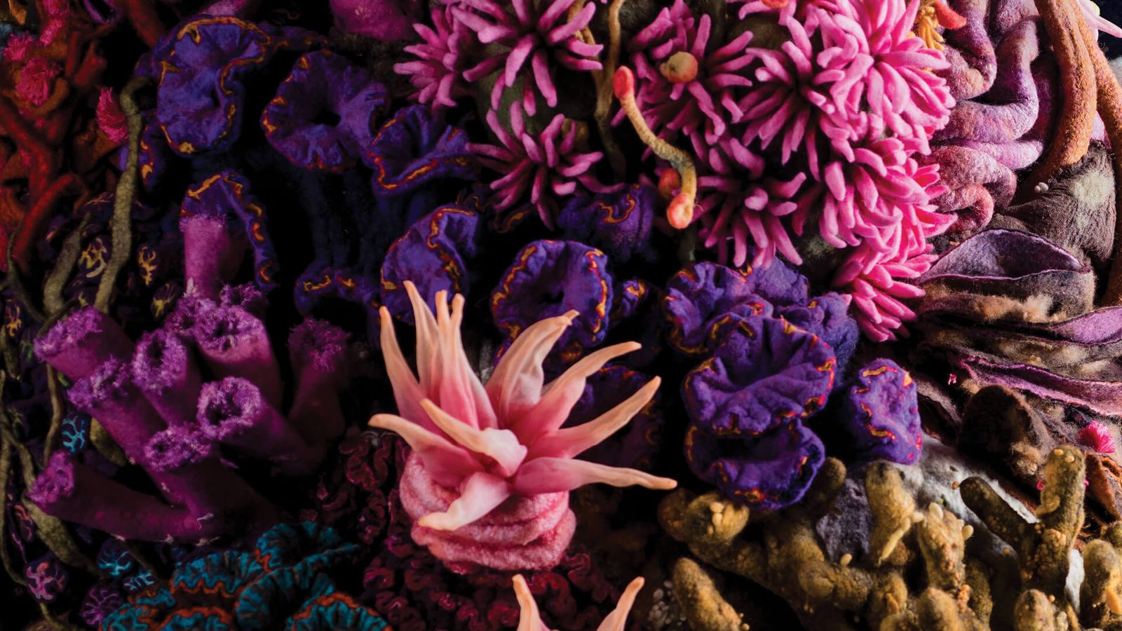 Human Nature, Saar Snoek, Netherlands | WOW