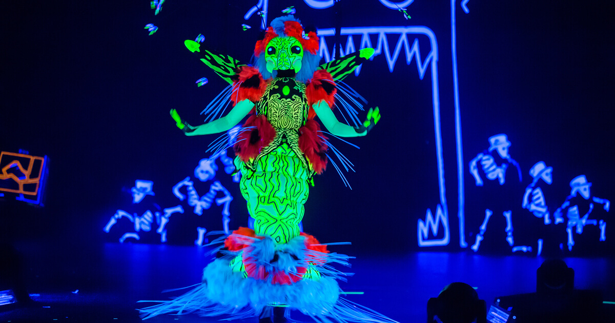 Morpho in Bloom, Michelle Yeager & Tim Merz, United States | WOW