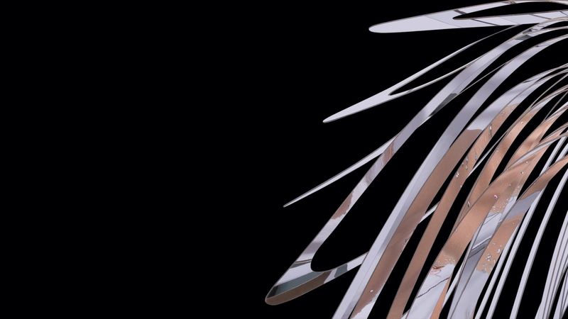 X-Ray, Lyndal Linton, Brett Linton & Harvey Linton, New Zealand | WOW