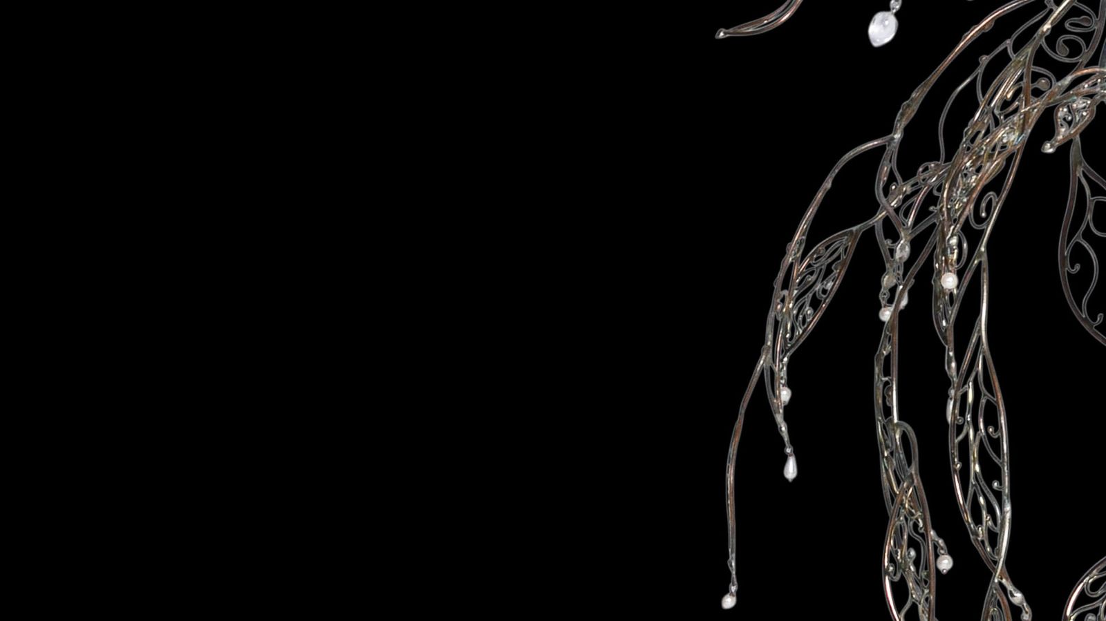 Competition Process | WOW Competition