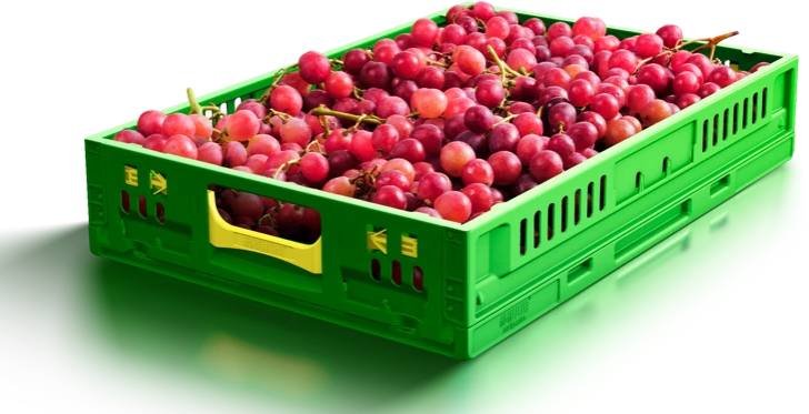 Reusable Plastic Crates (RPC) | Novabox Systems