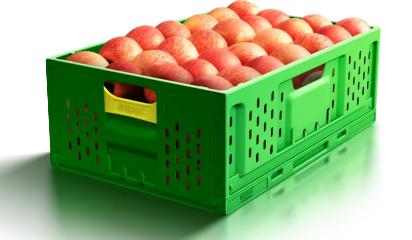 Reusable Plastic Crates (RPC) | Novabox Systems