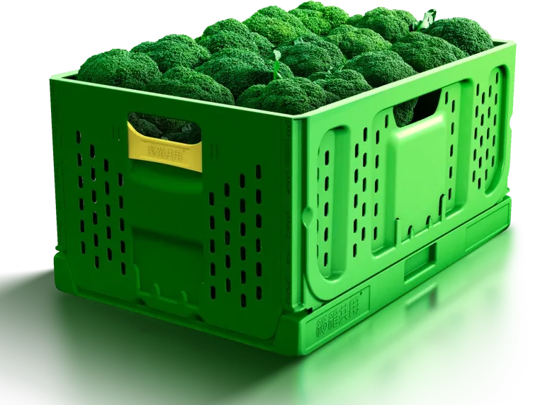 Reusable Plastic Crates (RPC) | Novabox Systems