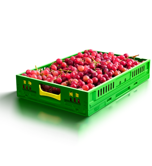 Reusable Plastic Crates (RPC) | Novabox Systems