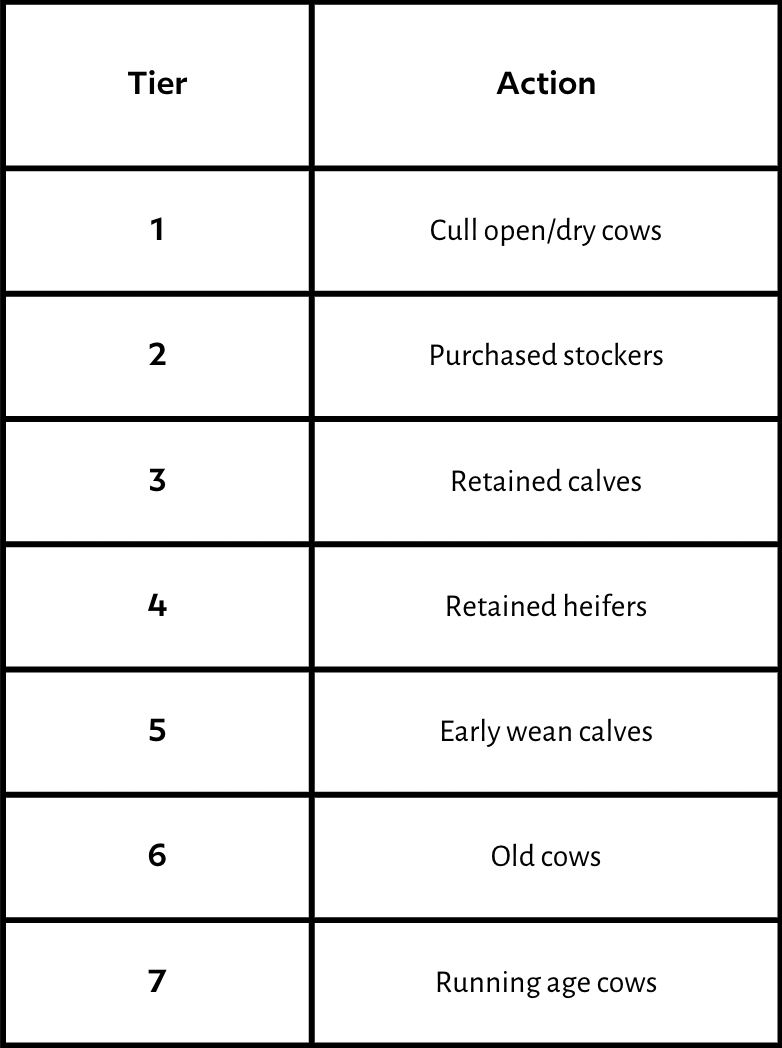 Leveraging a Decline in the Cattle Inventory | Redd Summit Advisors