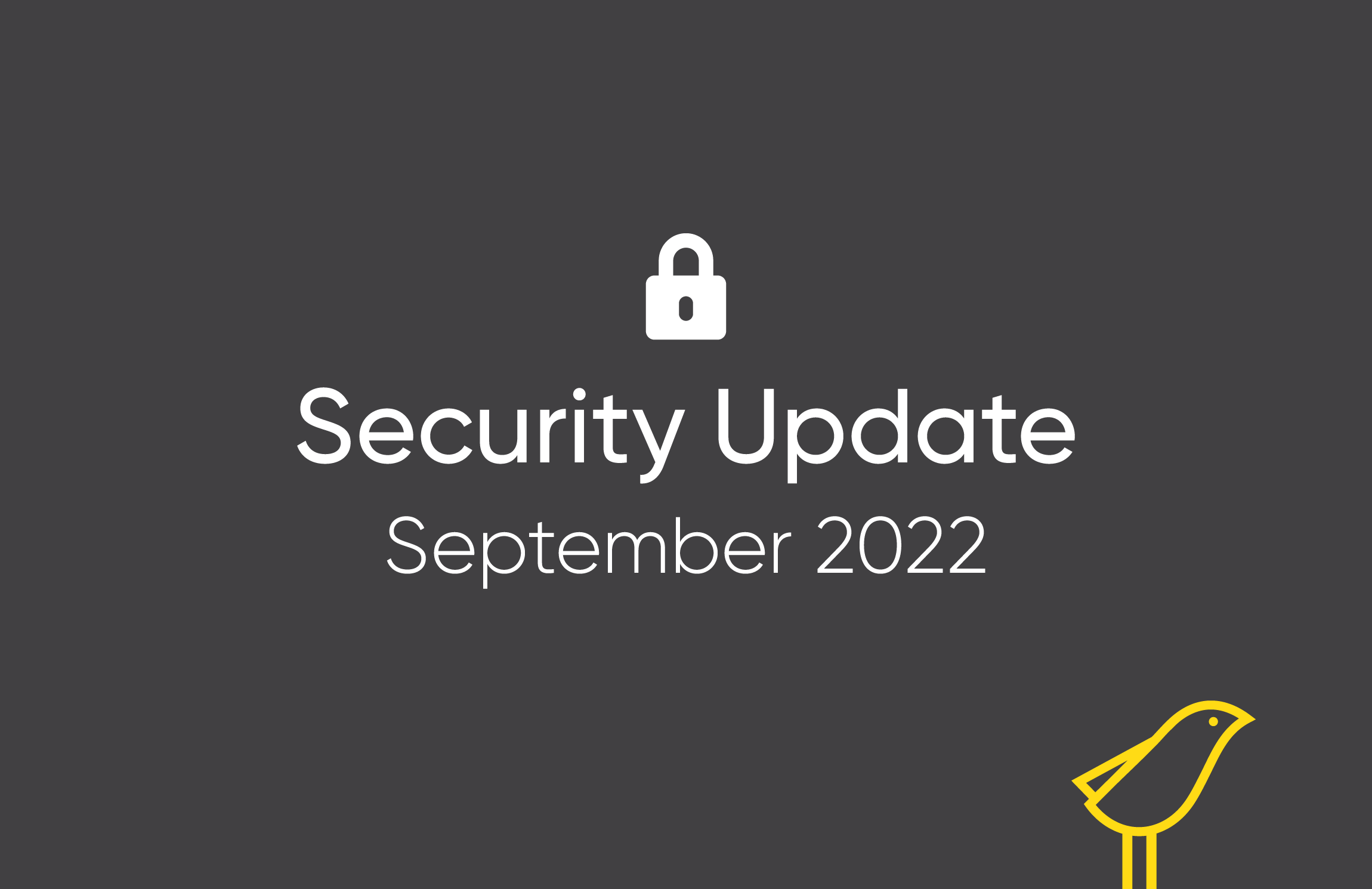 Canary Security Logo