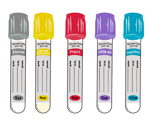 Painting the Perfect Picture: Mastering the Order of Draw in Phlebotomy ...