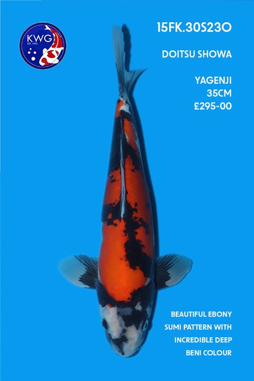 Koi Water Gardens Ltd