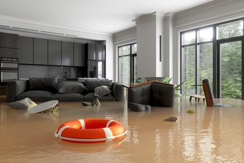 What to Do in a Flood | NZ Floods | Flood Restoration | JAE