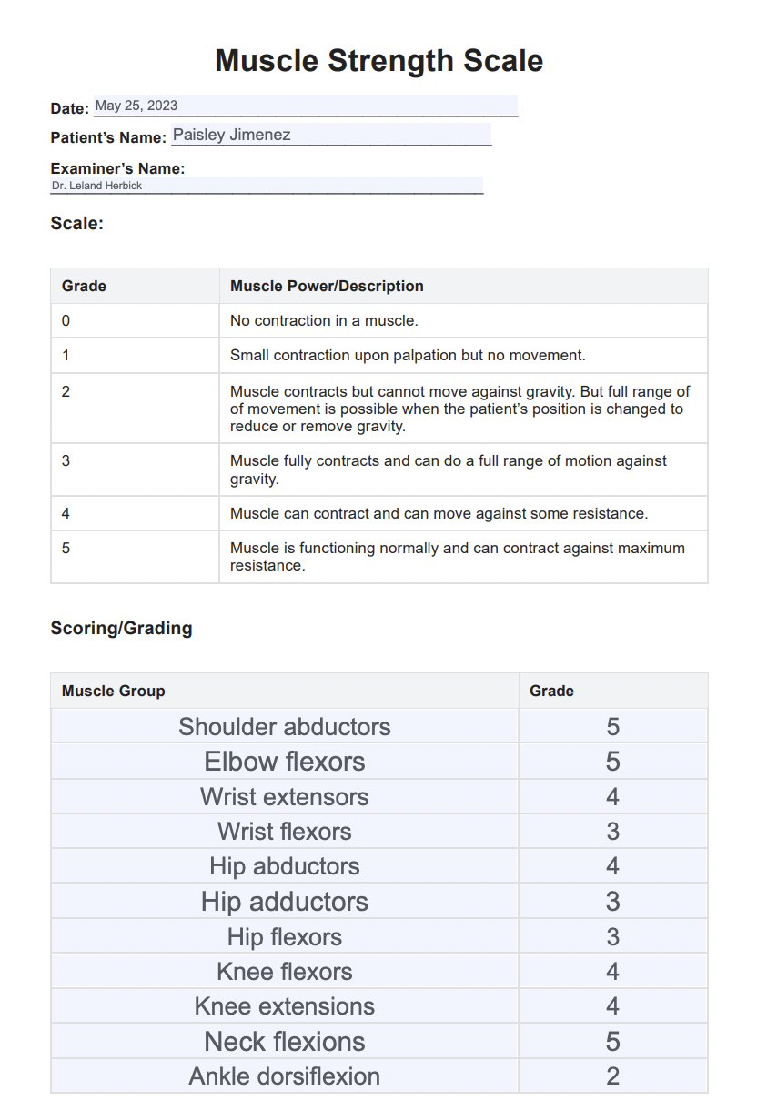 Muscle Strength Scale & Example | Free PDF Download