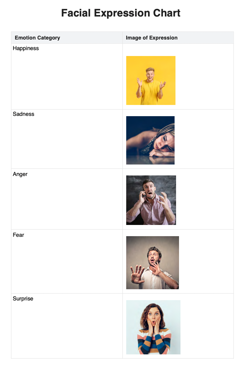 Facial Expressions Chart